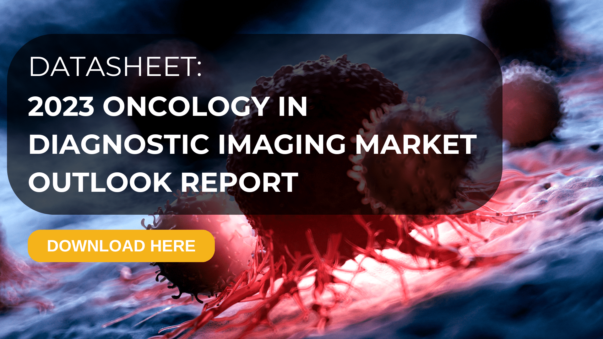 datasheets - IMV Medical Information Division